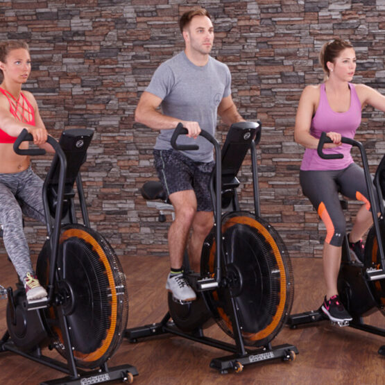 Original Octane ADX Airdynex Wind Bikes - F1 Recreation