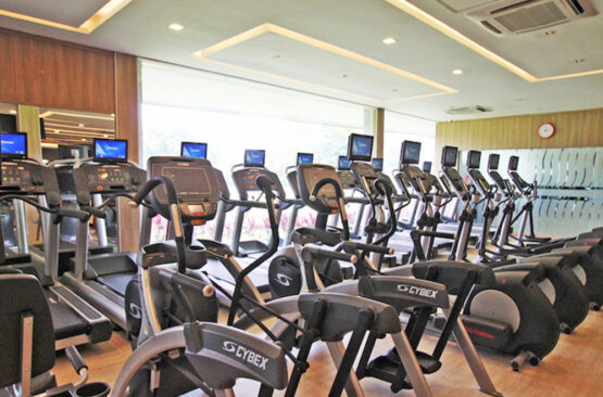 Myanmar Gym & Fitness Equipment Gallery - F1 Recreation